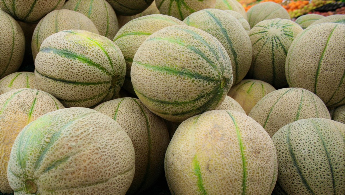 Meloncholy | Alicia Jones Poetry